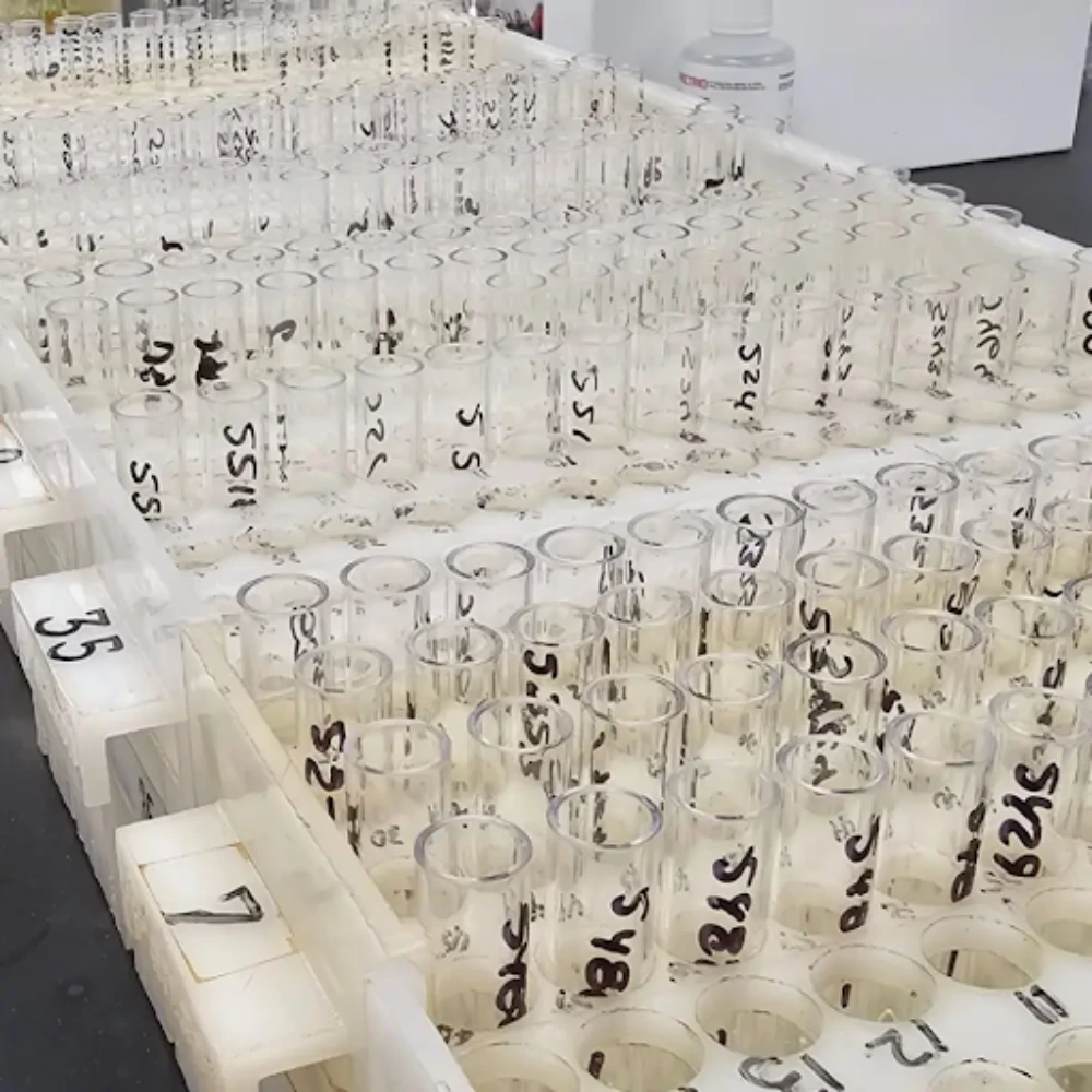 Understanding Rare Earth Element Processing And Separation